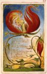 infant joy william blake - Tweetspeak Poetry